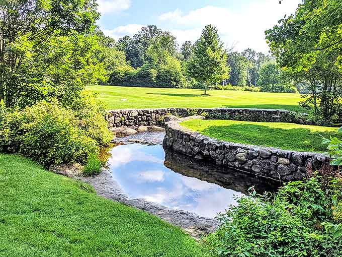Sunbeams filter through ancient trees, painting the landscape with dappled light that changes by the minute.