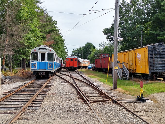 The museum's collection includes colorful transit vehicles from different eras, showcasing the evolution of design and technology in public transportation.