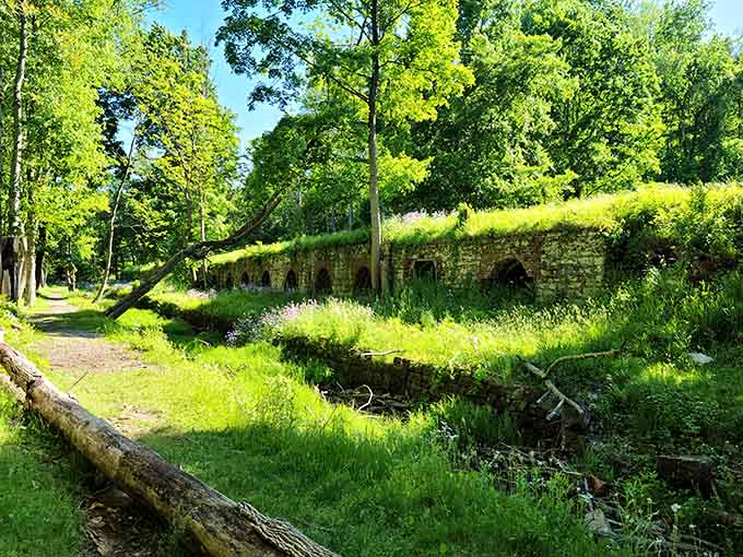 Nature has embraced these industrial relics, creating a harmonious blend where vibrant greenery softens the hard edges of brick and mortar.