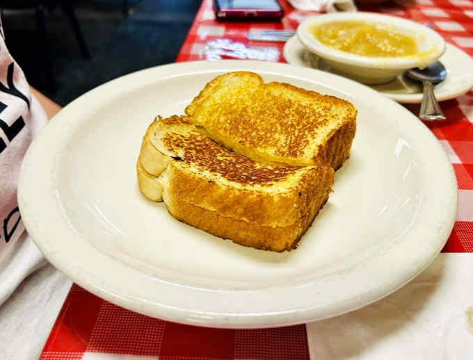Grilled cheese perfection meets sweet applesauce &ndash; a comforting duo that proves simple pleasures are often the most satisfying.