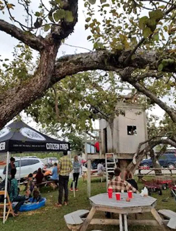 Rustic picnic tables invite families to linger longer, turning a simple apple-picking trip into an afternoon of memory-making beneath the trees.