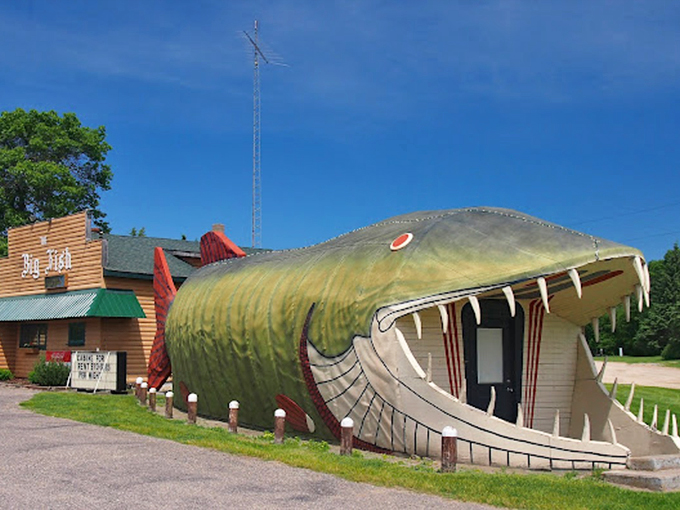 Holy carp! This finned phenomenon's got more scales than a Weight Watchers convention.