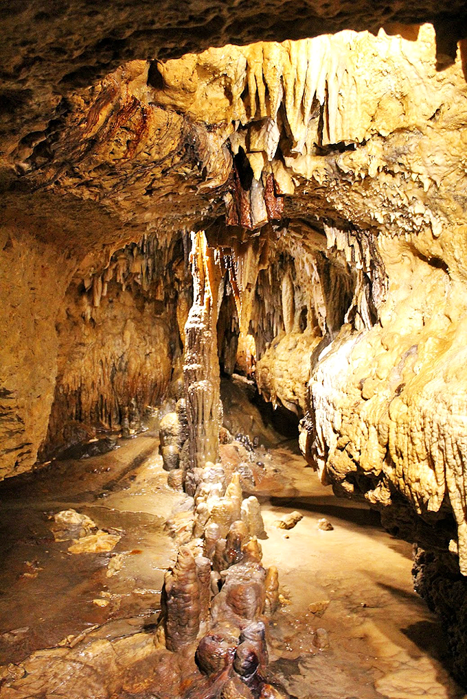 Nature's underground art gallery, where stalactites and stalagmites create a limestone masterpiece millions of years in the making.