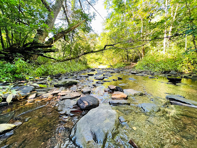 Hidden gorge or secret superhero base? This emerald oasis feels like it should be accessible only by secret password.
