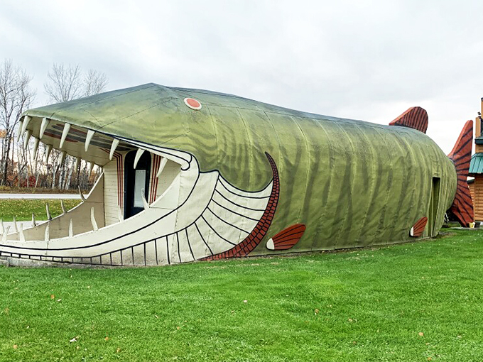 Something's fishy in Bena! This muskie's mouth is big enough to swallow a school bus.