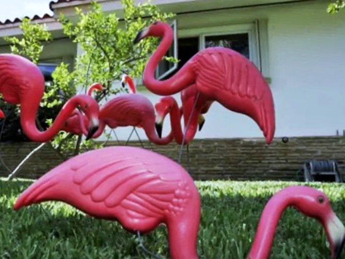 Standing tall and pretty in pink! Pinkie proves that sometimes, the best way to make a statement is to flamingo all out. 