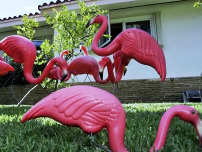 Standing tall and pretty in pink! Pinkie proves that sometimes, the best way to make a statement is to flamingo all out.