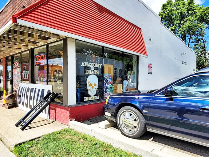 Behind this unassuming exterior, the Anatomy of Death Museum explores humanity's relationship with mortality through educational displays and artifacts.