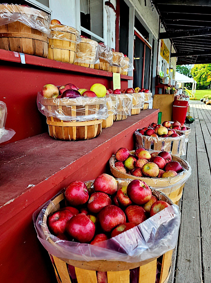 An apple a day keeps the doctor away, but these beauties might just keep everyone away while you hoard them all. 