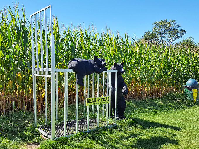 Bear trap humor that hits differently when you're two hours into maze-solving and starting to question your life choices.