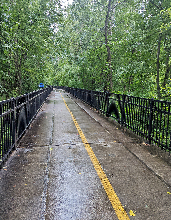 Black metal railings guide travelers safely along elevated sections, where the drop-offs are as dramatic as the views.