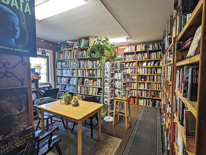 Records and volumes share shelf space in perfect harmony &ndash; because the soundtrack to a good book is as personal as the book itself.