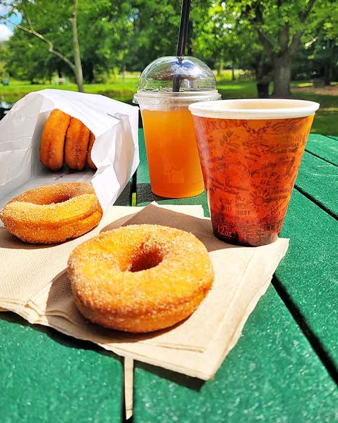 A picnic table feast featuring those famous cinnamon-sugar donuts alongside fresh-pressed cider &ndash; fall's perfect pairing in edible form.