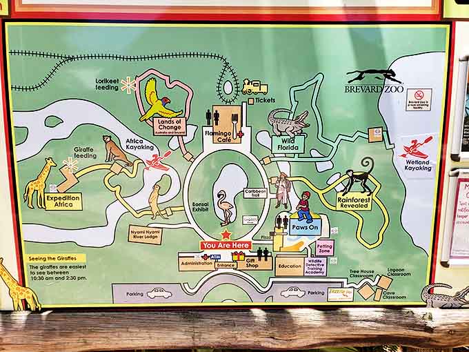 The treasure map to wildlife adventures &ndash; no pirate accent required, though it certainly wouldn't hurt the experience.