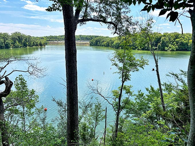 Caesar Creek State Park offers nature's finest therapy session. The water's so clear you can see your worries dissolving with each ripple.