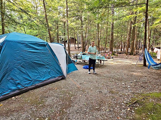 Camping nirvana: Where tents nestle among towering pines and marshmallows practically toast themselves.