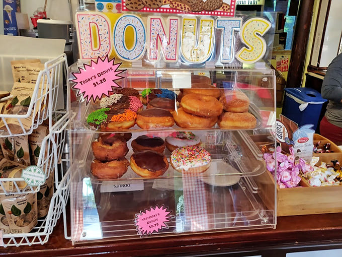 Fresh donuts sitting pretty in their case, innocently plotting to derail your diet plans with their glazed perfection.