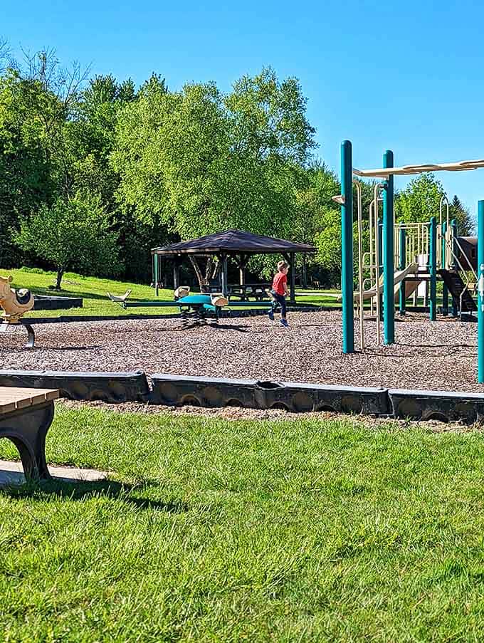 Childhood joy in its natural habitat &ndash; where spiral slides and monkey bars create the perfect playground ecosystem.