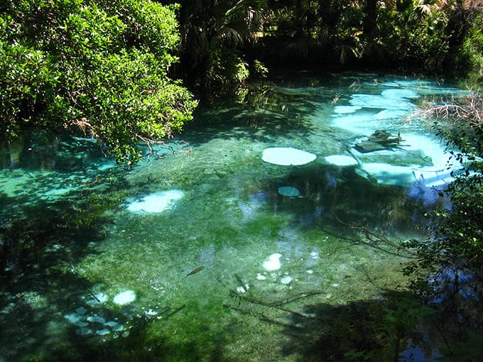 The spring's sandy bottom creates natural "polka dots" as underground water bubbles up, nature's version of a perpetually changing art installation.