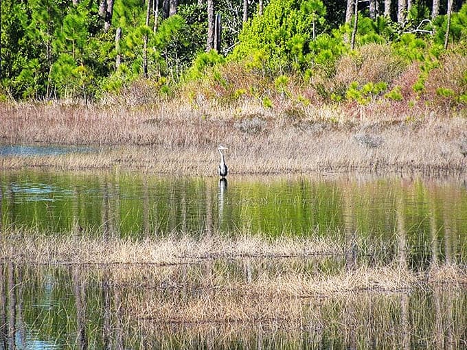 A coastal dune lake reflects the sky like nature's mirror, creating a double serving of Florida blue.