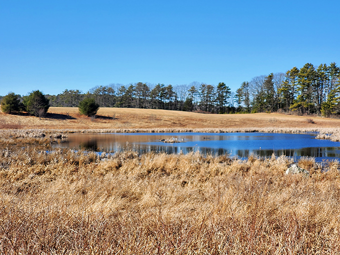 A serene pond reflects the Maine sky &ndash; nature's mirror showing off the state's famous blue heavens.