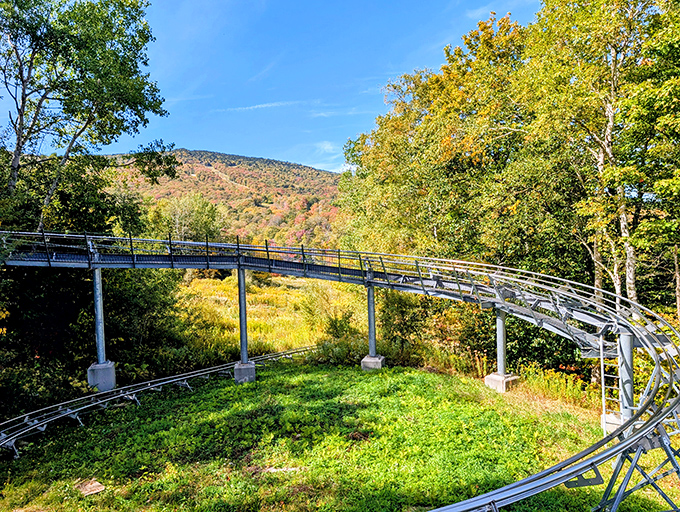 Engineering meets artistry in these sweeping curves, designed to make your stomach drop while keeping you firmly on track.