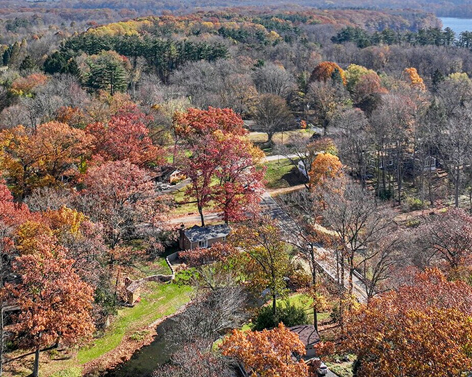 Fall foliage creates a natural tapestry around Newton Falls, proving that sometimes the best stress reliever is simply looking up.