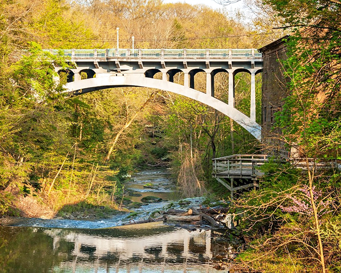 The park's elegant bridge arches gracefully over the gorge, connecting not just land but past and present.