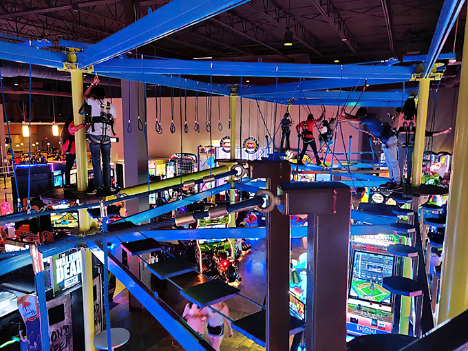 It's a bird, it's a plane, it's... your kids conquering their fear of heights! This aerial playground puts the 'high' in high-energy fun.