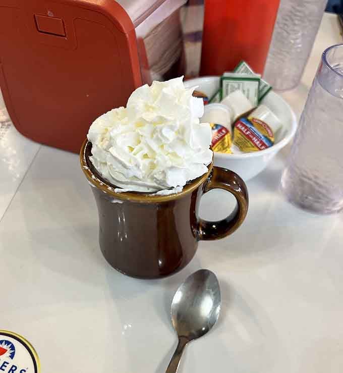 Hot chocolate topped with whipped cream so generous it deserves its own zip code and possibly a parade.
