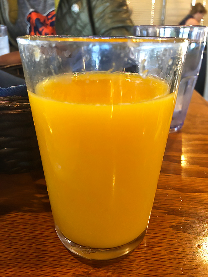 Liquid sunshine in a glass &ndash; the kind of fresh-squeezed orange juice that makes you question why you ever settled for the bottled stuff.