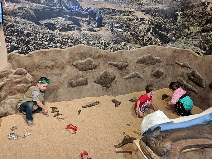 Young paleontologists-in-training unearth treasures in the fossil dig pit, their concentration rivaling that of seasoned professionals.