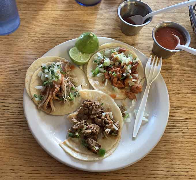 These tacos showcase the beauty of simplicity, with quality meat, fresh toppings, and soft tortillas that let the flavors shine through beautifully.