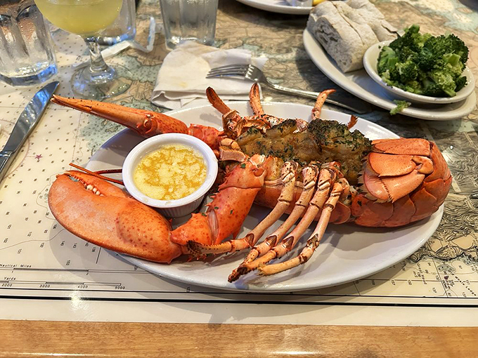 Ladies and gentlemen, the star of the show! This lobster isn't just dinner&mdash;it's a crimson-clad celebration of the sea.