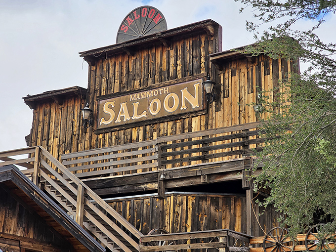 The Mammoth Saloon invites you to belly up where prospectors once drowned sorrows and celebrated strikes, minus the actual barroom brawls.