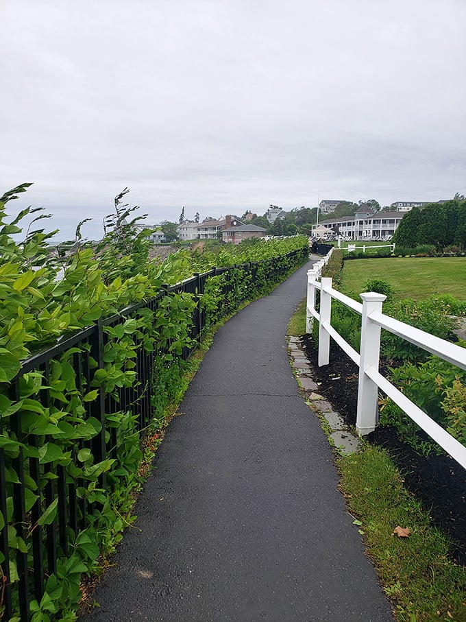 Marginal Way's scenic path hugs the coastline like nature's perfect promenade &ndash; each bend revealing a new postcard-worthy vista.