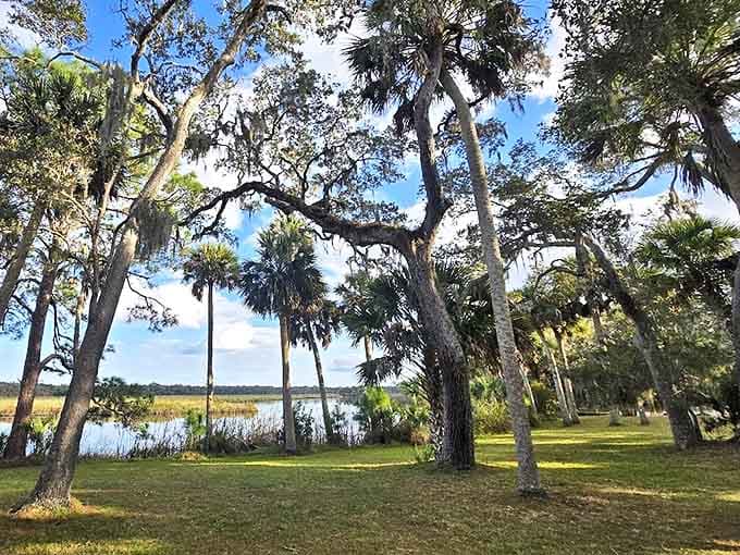 Where sugar cane fields once stretched to the horizon, natural marshlands have reclaimed their rightful place.