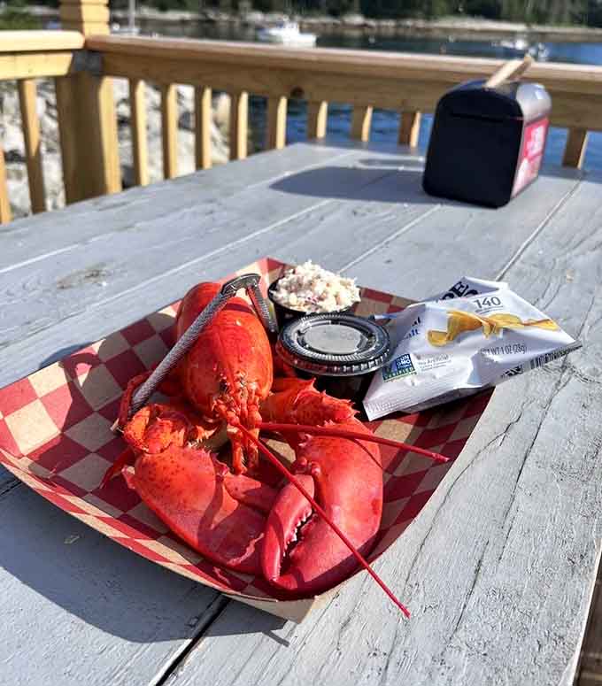 That bright red lobster with coleslaw and chips is the definition of a perfect summer meal by the sea.