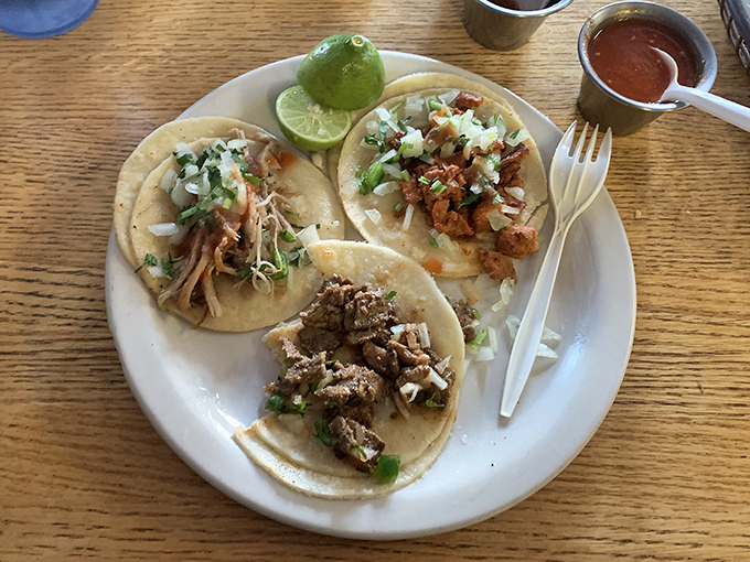 Street tacos done right &ndash; simple, authentic, and topped with just cilantro and onion, letting the perfectly seasoned meat be the star.
