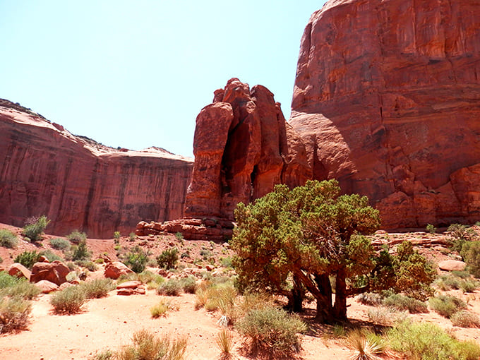 Desert plants thrive in this harsh landscape, proving that life finds a way even when surrounded by ancient stone giants.