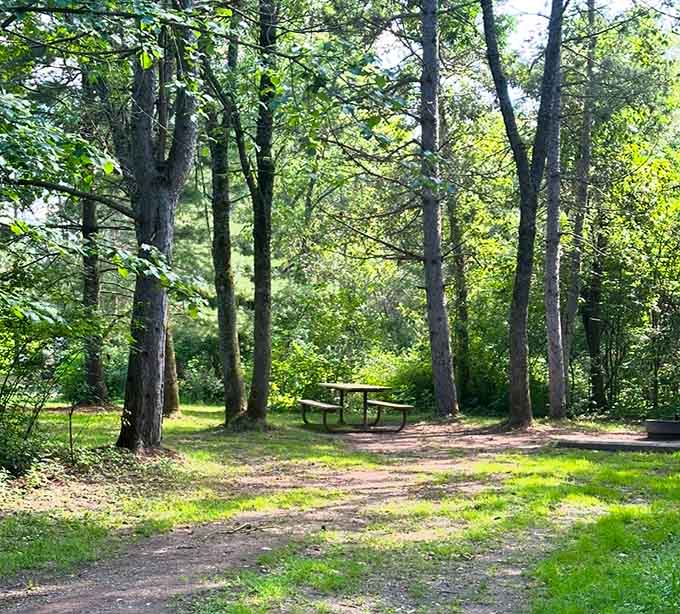 A picnic table under the pines is basically nature's dining room, and the ambiance beats any restaurant.