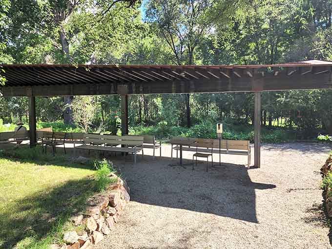 The Paton Center sits nestled among towering trees, a peaceful sanctuary where hummingbirds steal the show.