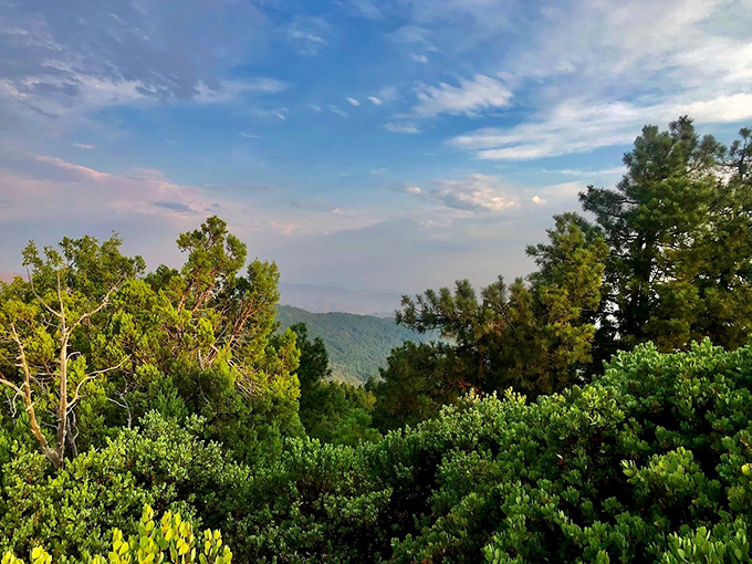 Arizona's version of "The Lion King's" Pride Rock. All this scene needs is Rafiki holding up a cactus instead of Simba.