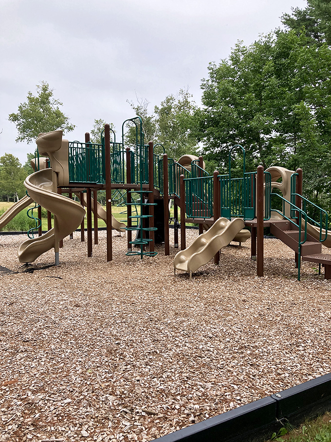 The playground provides just enough entertainment for younger visitors without competing with the park's natural attractions.