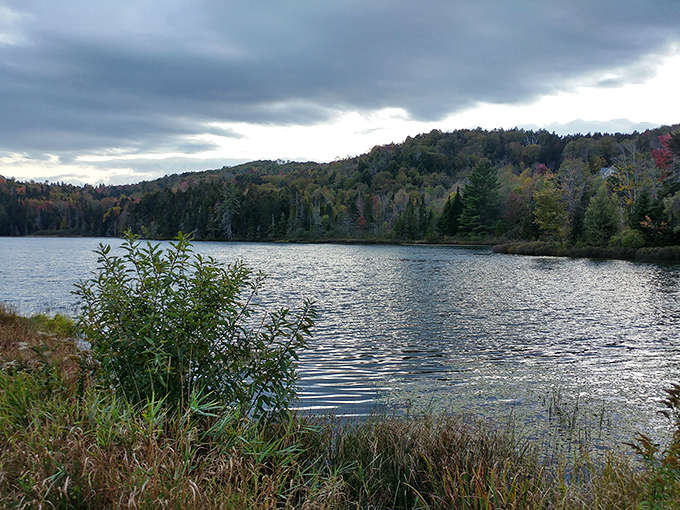 Fall foliage reflected in still water creates the kind of double vision that's actually good for you.