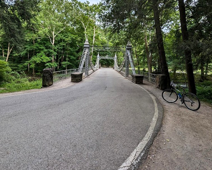 Crisp winter mornings transform the creek into a partially frozen wonderland, with the bridge standing sentinel above.