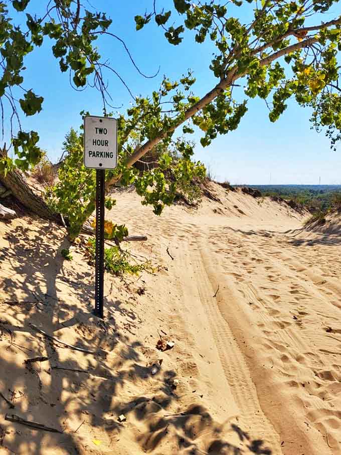 Even the forested sections offer their own kind of thrill, where the canopy provides cool shade before you burst back out into the sun-drenched sandy expanses.