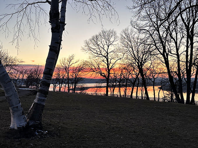 Sunset at Schaar's Bluff turns the sky into a painter's palette, with silhouetted trees adding drama to an already spectacular performance.