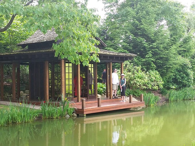 Schnormeier Gallery's serene Japanese-inspired tea house invites contemplation by the water – a zen moment waiting to happen in the heart of Ohio.