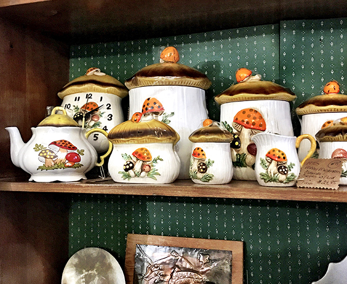 The mushroom-themed kitchen collection brings whimsical woodland charm to any home. Suddenly, you need mushroom canisters. Trust me. 